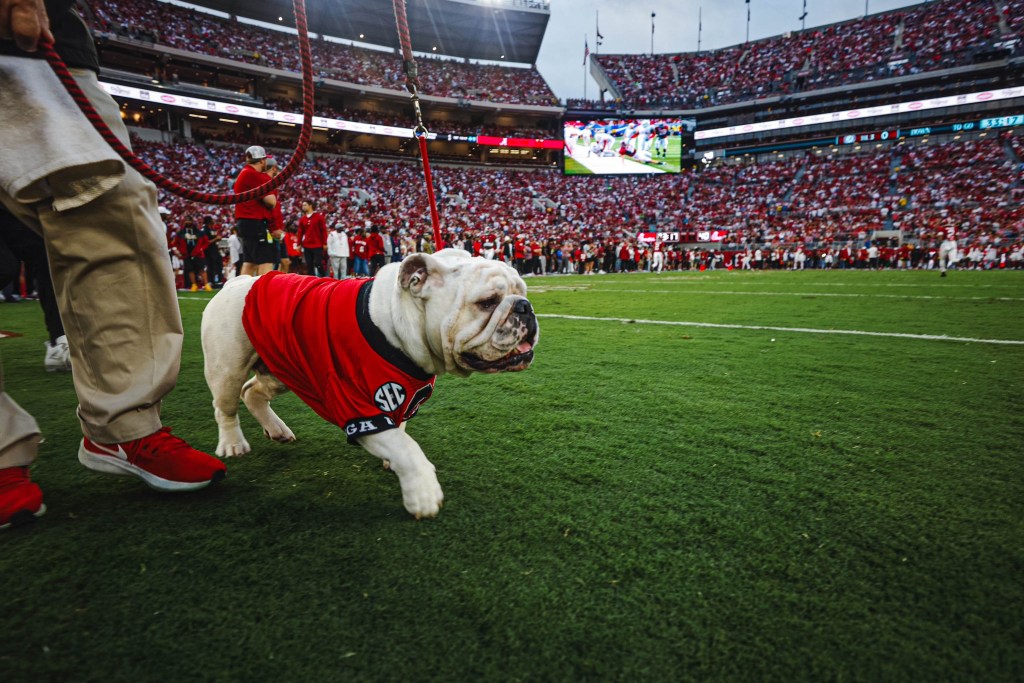 Georgia Bulldogs announce Football Ticket Pricing Changes for the 2025 ...